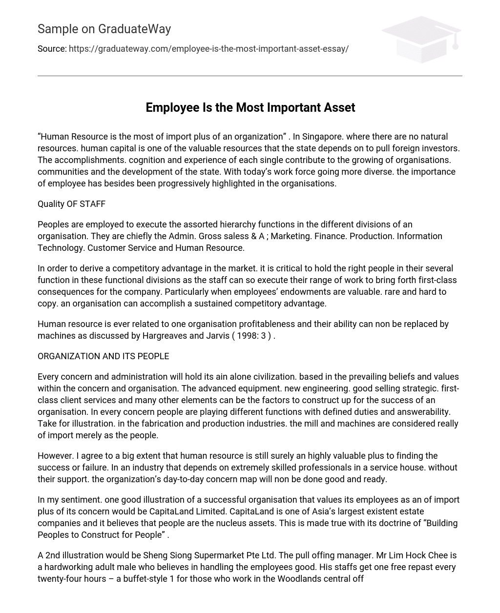  Employee Is The Most Important Asset Essay Example GraduateWay
