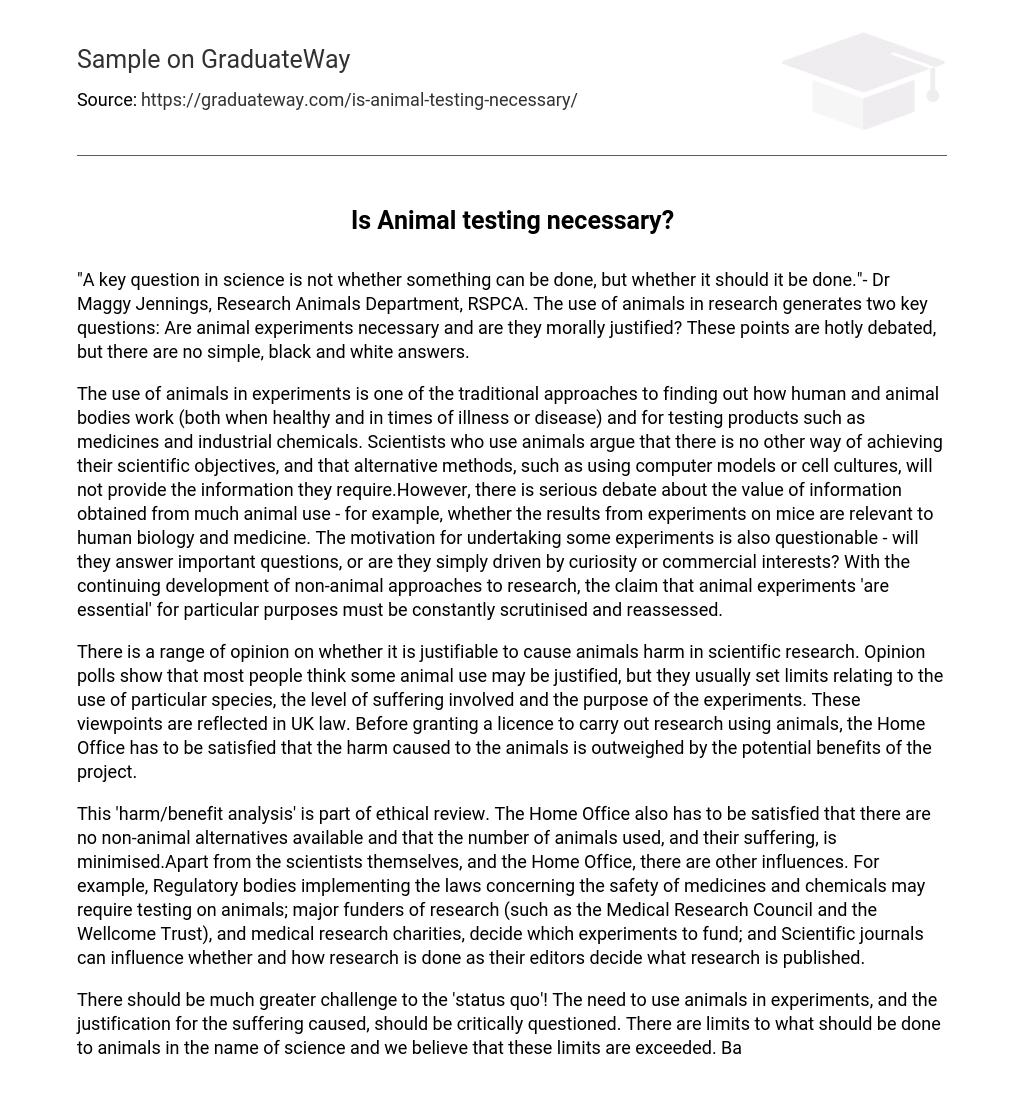 Is Animal Testing Necessary Essay Example GraduateWay is-animal-testing-necessary-essay-example-graduateway