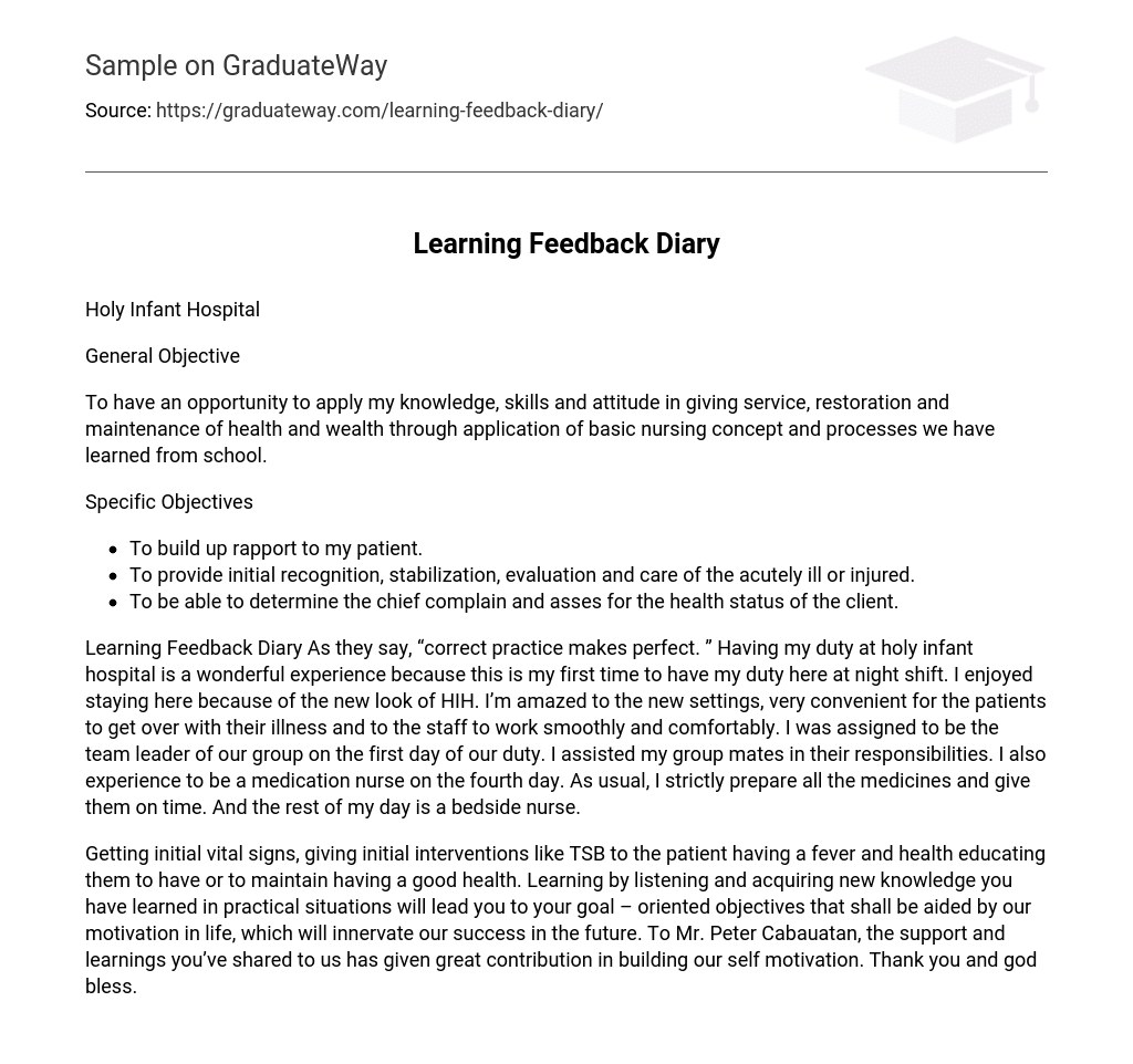  Learning Feedback Diary Essay Example GraduateWay