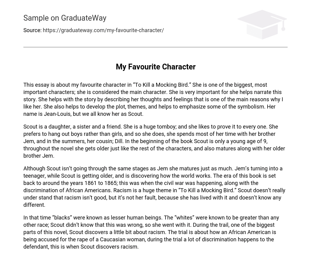 My Favourite Character 364 Words Free Essay Example On GraduateWay