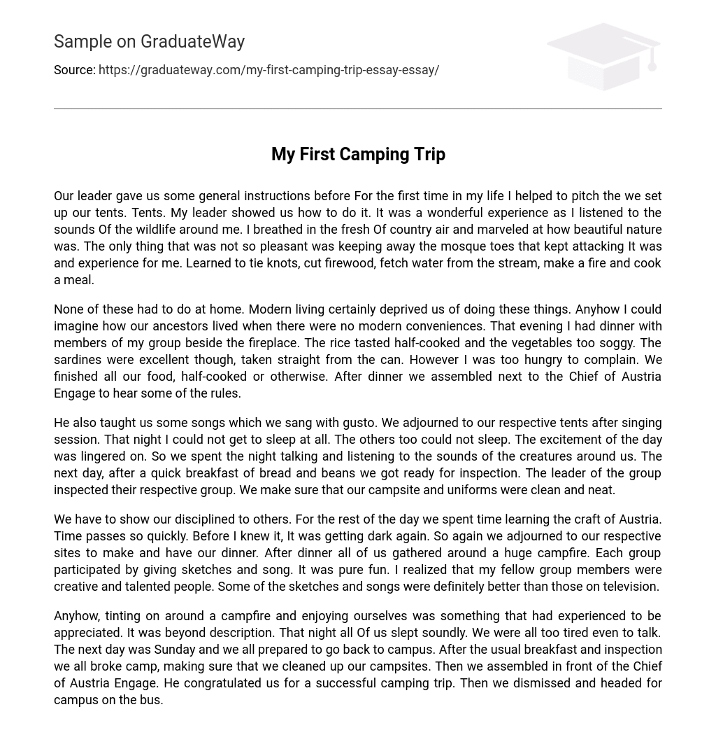  My First Camping Trip Narrative Essay Essay Example GraduateWay