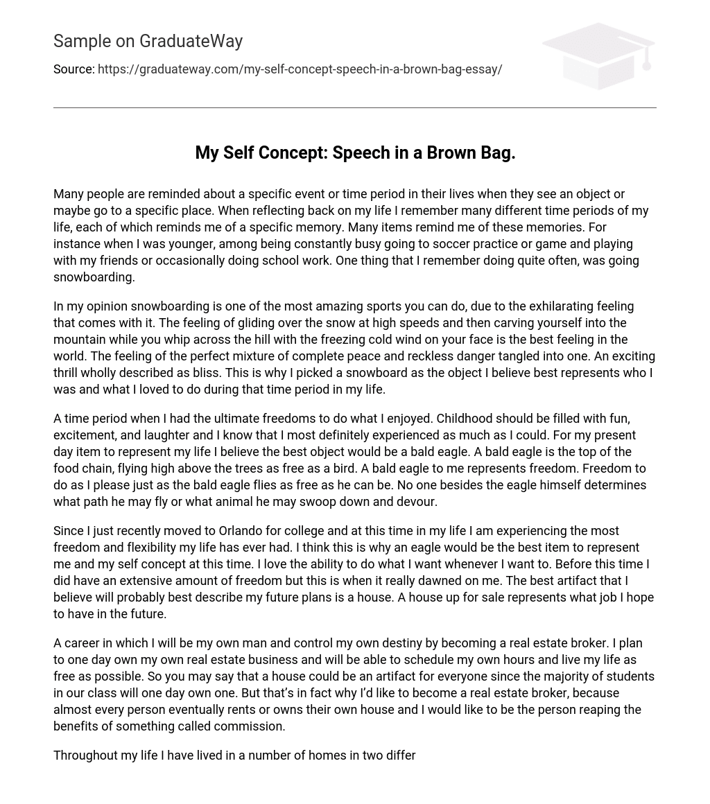 My Self Concept Speech In A Brown Bag Free Essay Example 643 Words 