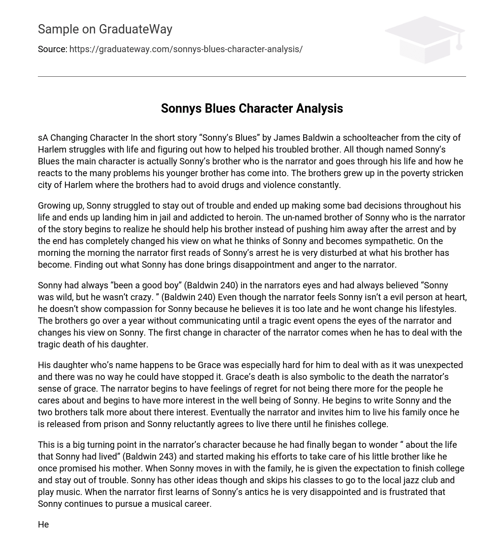  Character Analysis Essay Sample Character Analysis Essay Discover 