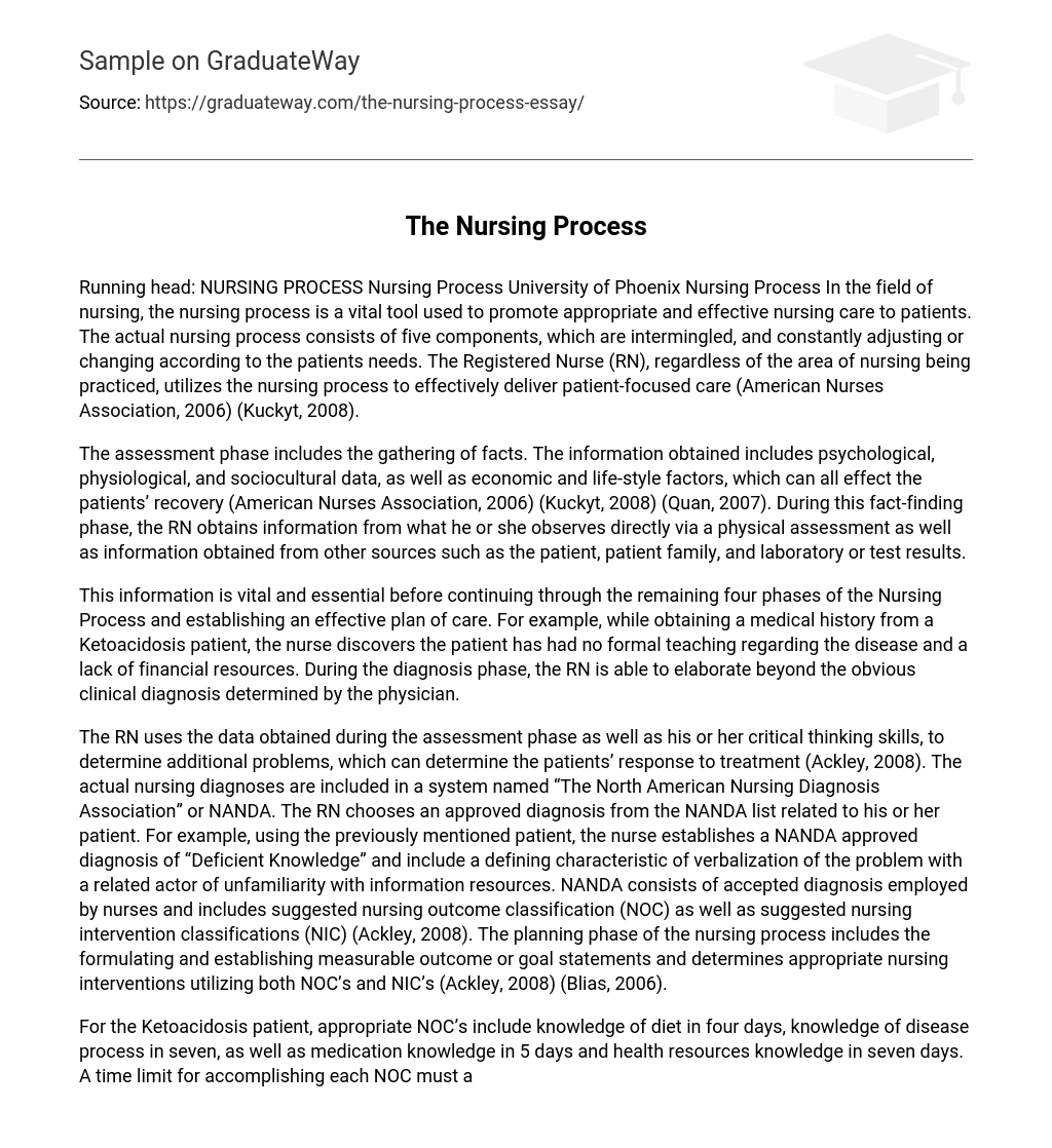 The Nursing Process Essay Example GraduateWay