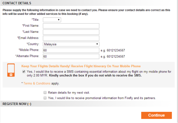 Principles of E-Business - Firefly Airline Background Example | Graduateway